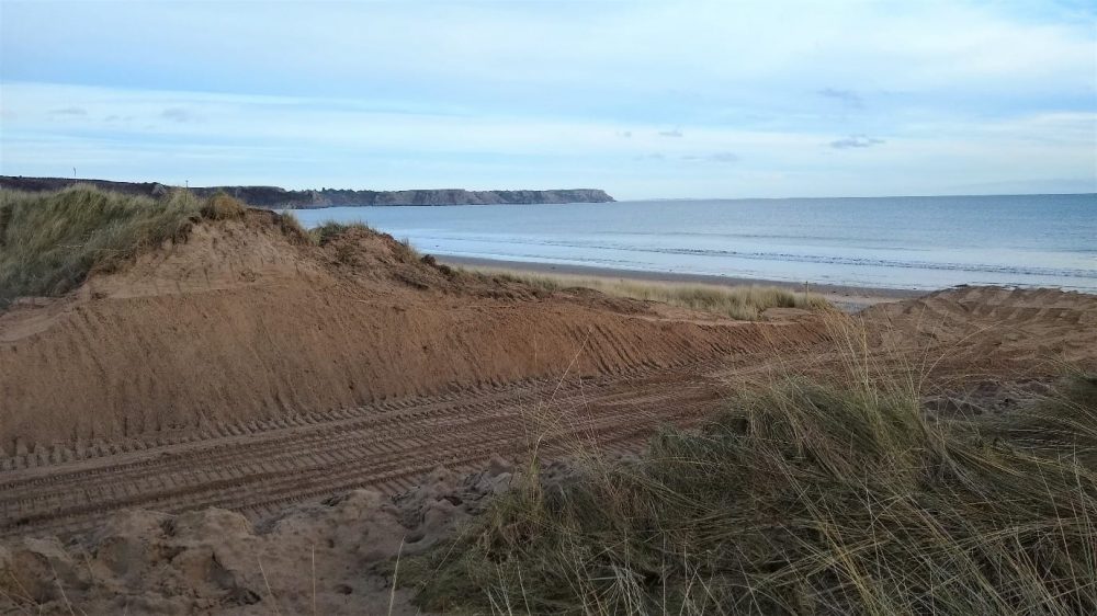 Gaps to be created at Ainsdale Sand Dunes to boost biodiversity on ...